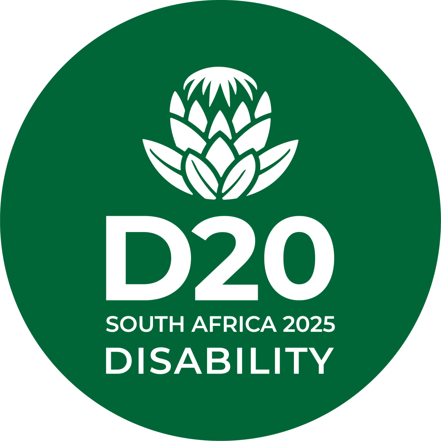 G20 – Disability-20 - NCPD
